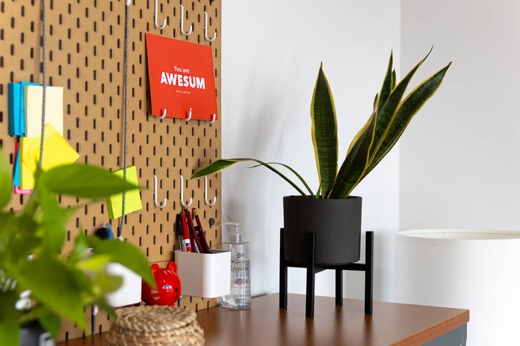 Samen bereiken we meer dan alleen: Cherry Group